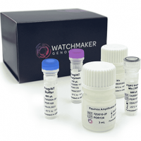 Watchmaker DNA Library Prep Kits with Fragmentation – Custom Science